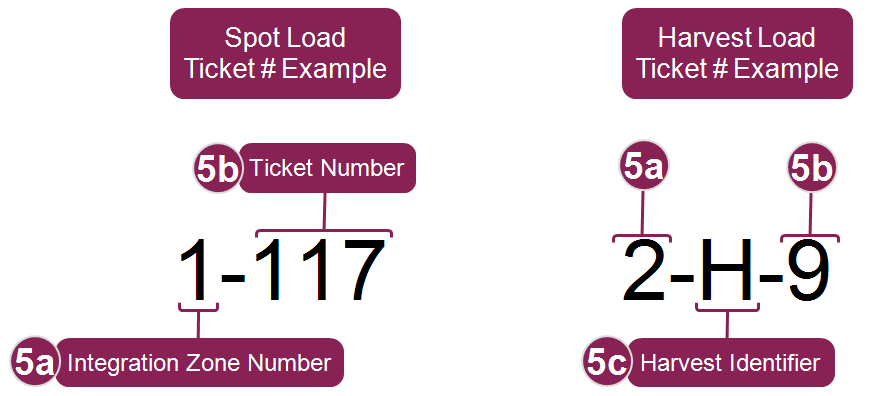 What's New in WeighComp?